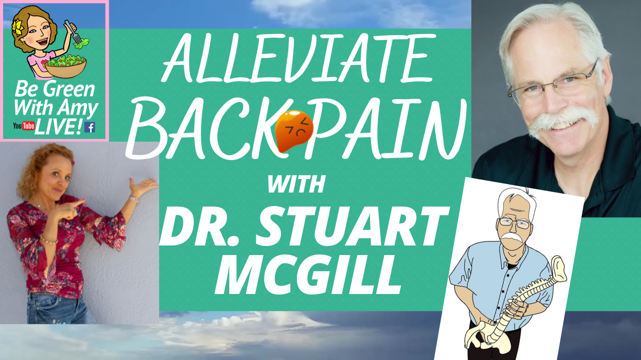 Back Pain - How to Heal! Dr. Stuart McGill - backfitpro